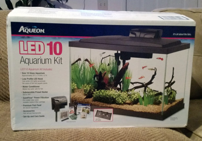 How Do You Set Up a Crayfish Tank? | Aquarium Set Up